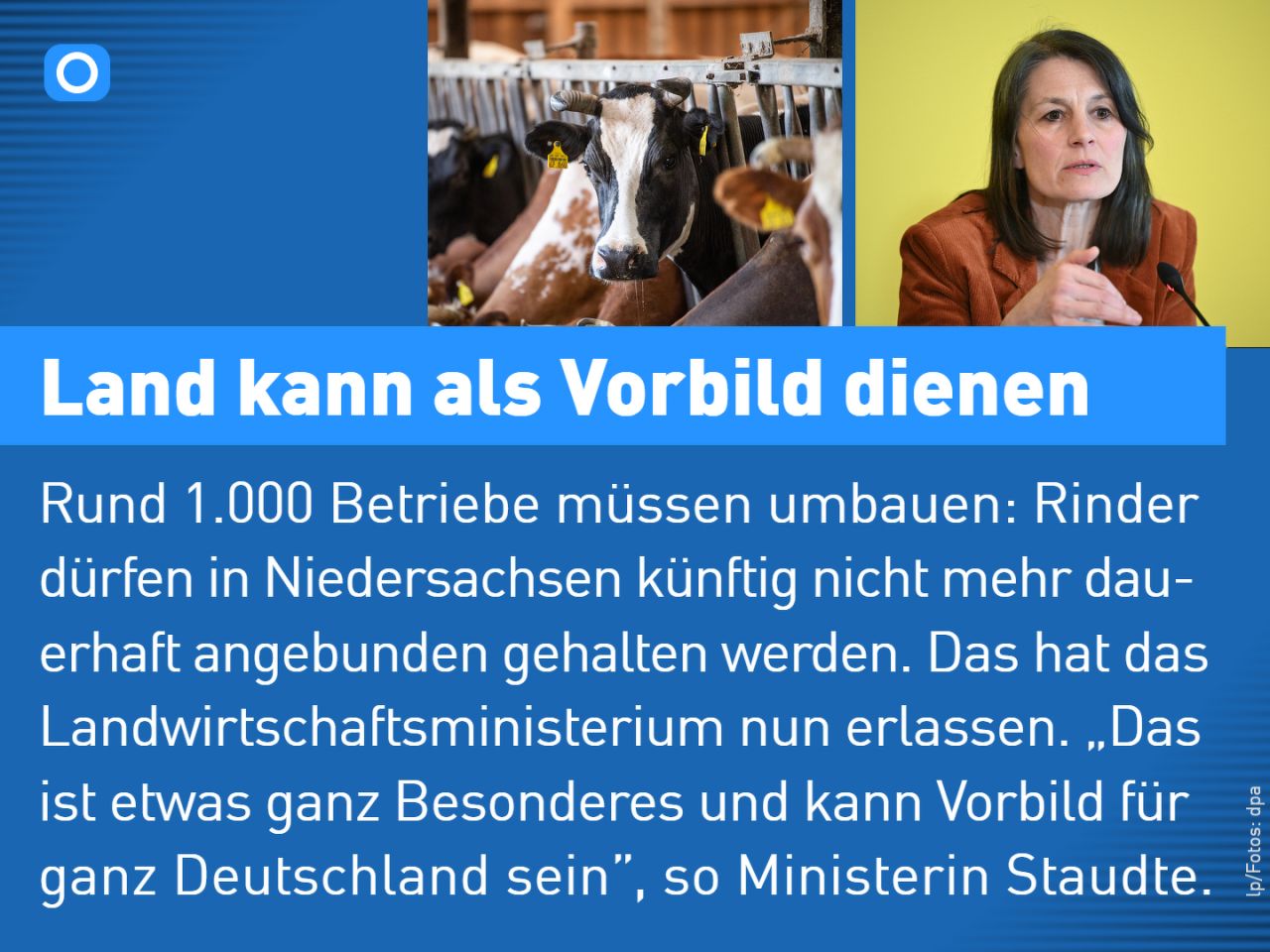 Dauerhafte Anbindung in Zukunft verboten: Neue Haltungsregeln für ...